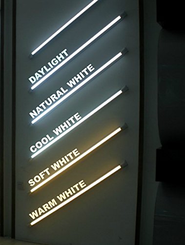 Sterl Lighting F39T5/865/HO Linear Fluorescent Light Bulb, 8 Pack 110/220V 39W 34 Inch 3100Lm, G5 Bi-Pin Base Daylight 6500K