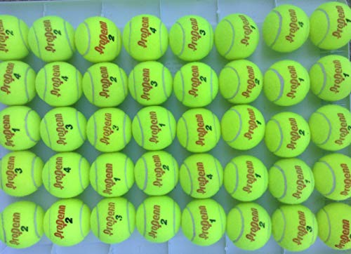 Used Tennis Balls (100, Non-Cut)
