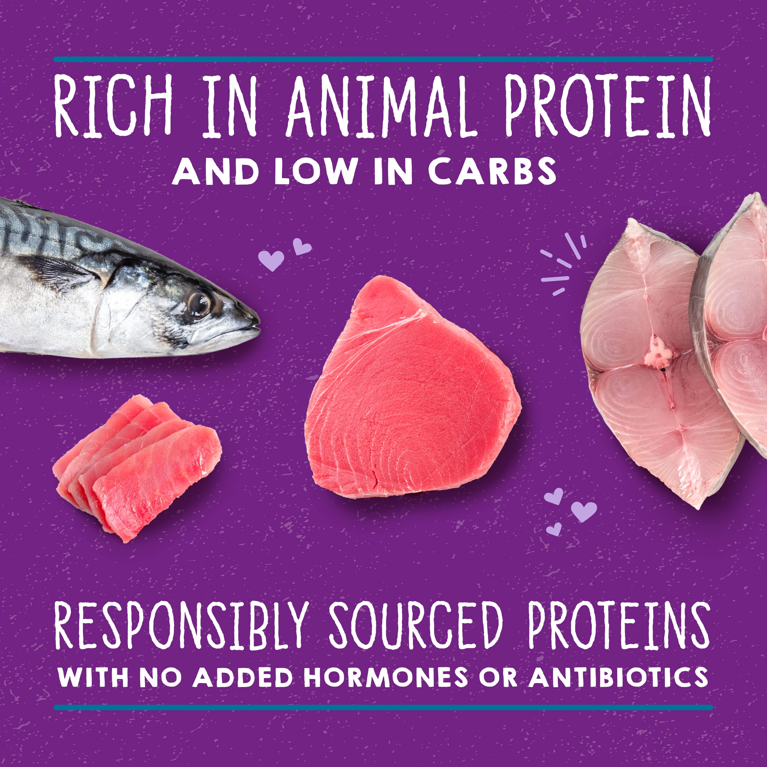 Stella & Chewy’s Carnivore Cravings Savory Shreds Cans – Grain Free, Protein Rich Wet Cat Food – Wild-Caught Tuna & Mackerel Recipe – (2.8 Ounce Cans, Case of 12)