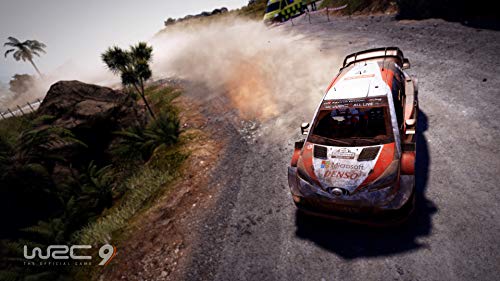 WRC 9 Nintendo Switch