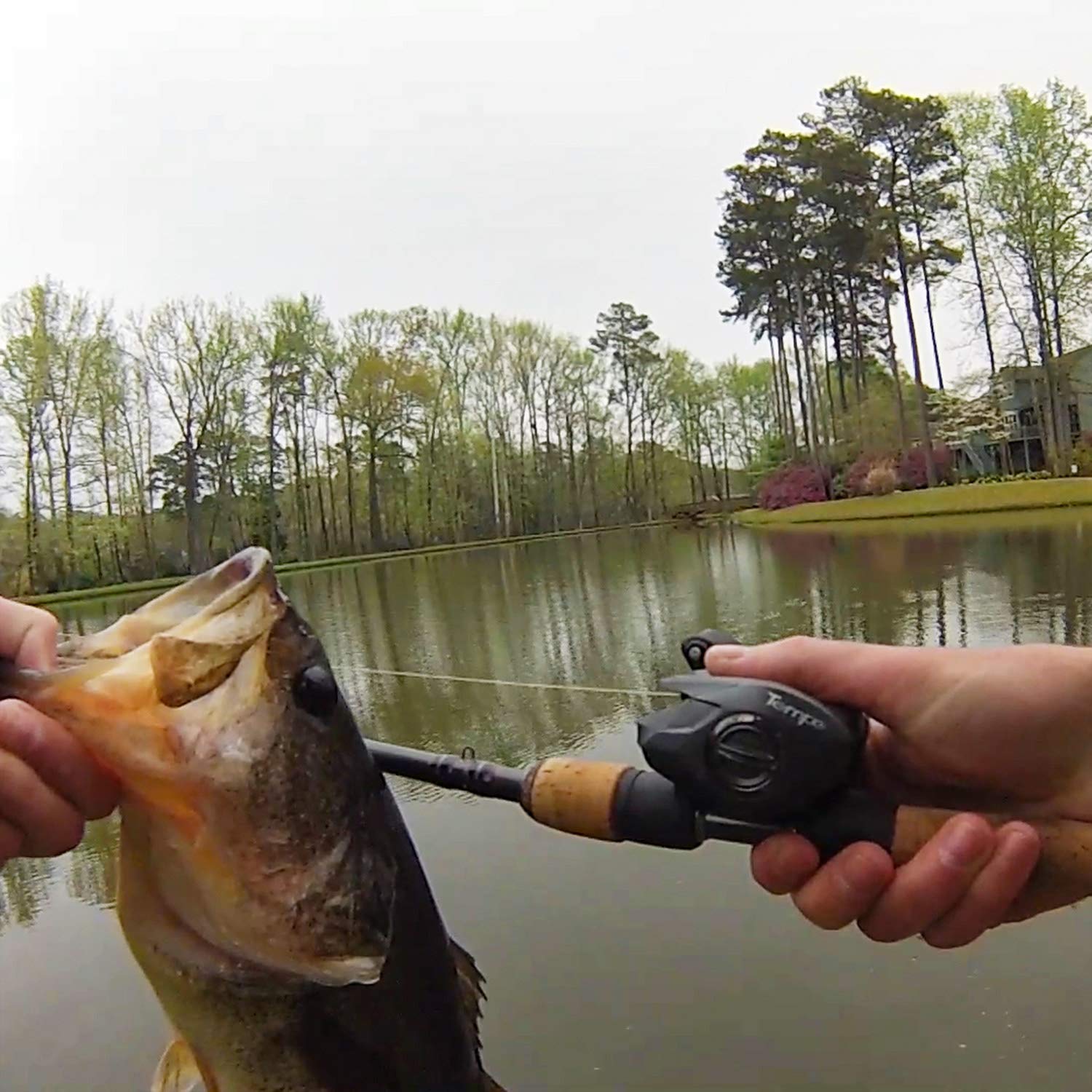 Tempo Vertix LP, High-Tech Innovative Baitcasting Reel, 9 + 1 BB, Low Profile & Lightweight, Powerful & Durable, 6.6:1 Gear Ratio, Great Value