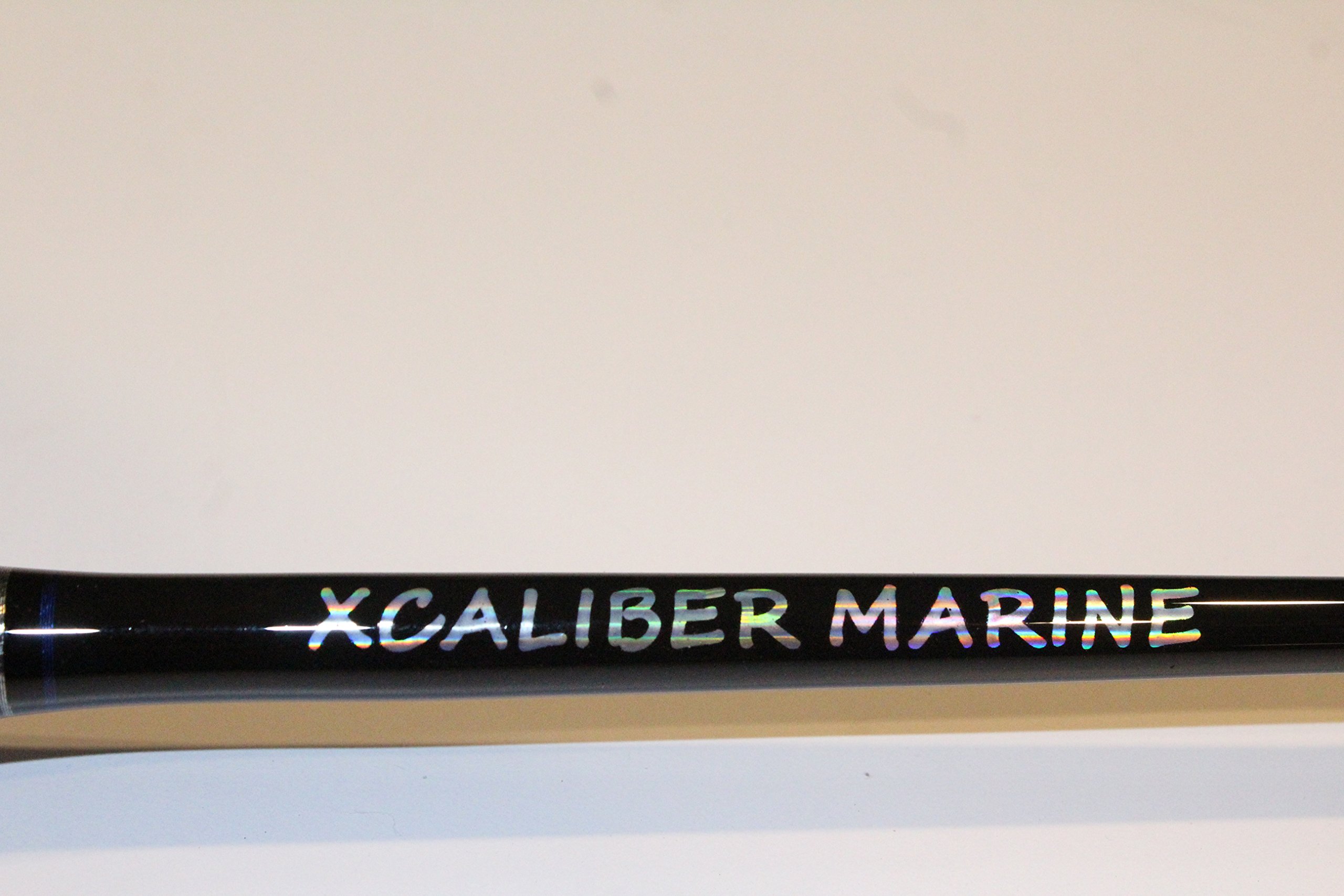 Xcaliber Marine Offshore Series 80lb Saltwater Deep Drop Swivel Tip Trolling Rod(Blue & Silver)