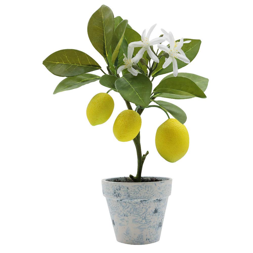 XiaZ Artificial Lemon Tree Plant Topiary, Potted Fake Plants Flower Home Party Garden Decoration
