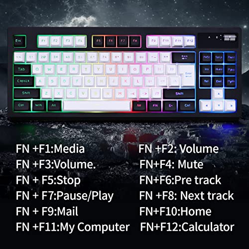 ZJFKSDYX C87 Wireless Gaming Keyboard and Mouse Combo, LED Backlit Rechargeable Mechanical Feeling Keyboard and Ergonomic Mouse for PC, Gaming Console (W/B)