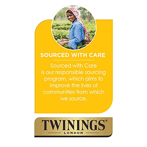Twinings Cold Brewed Iced Tea - Mint Flavored Green Tea with Peppermint Leaves, Caffeinated Green and Black Tea Extracts, Unsweetened Cold Brew Tea Bags Individually Wrapped, 20 Count