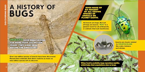 The Fascinating Bug Book for Kids: 500 Startling Facts! (Fascinating Facts)