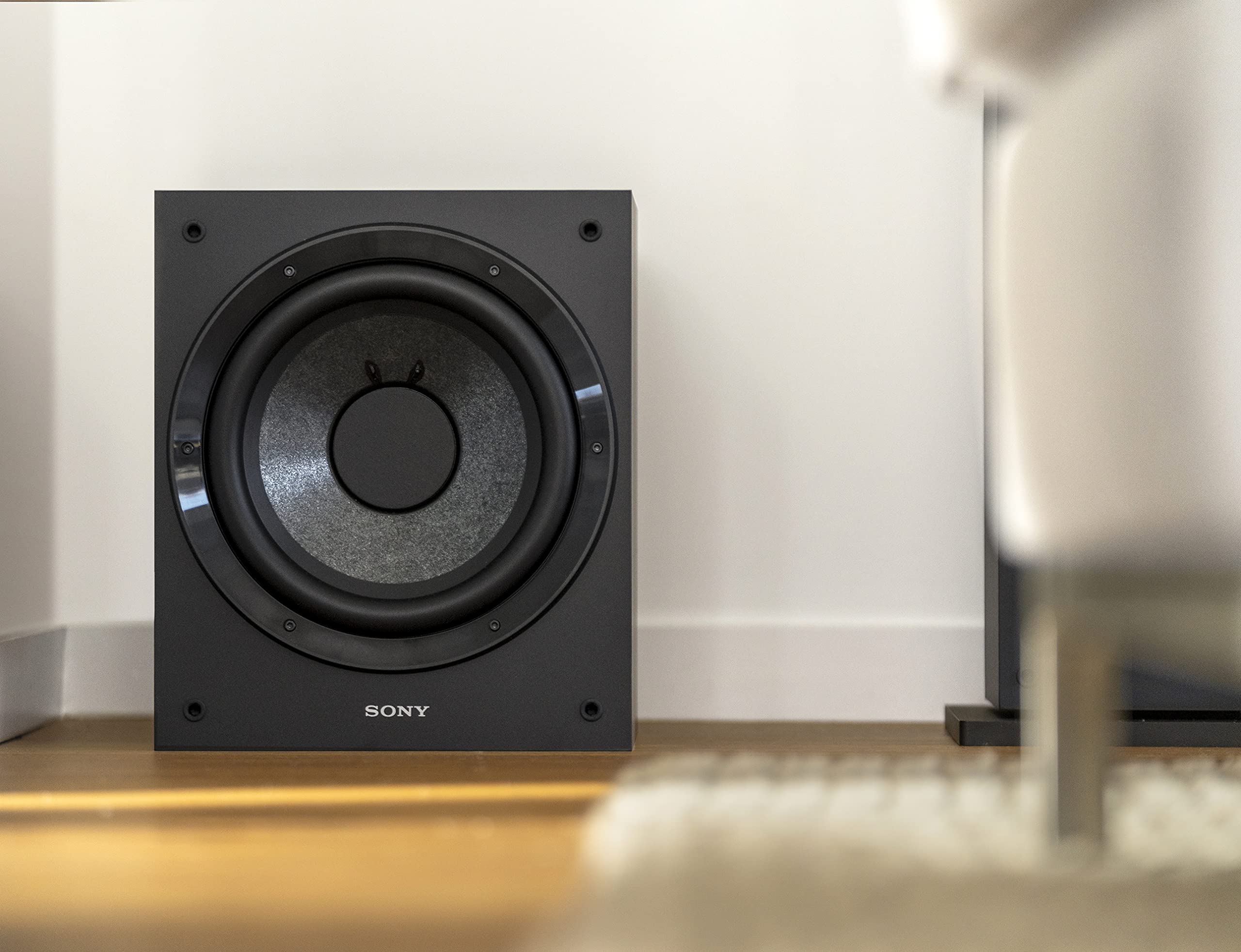 Sony SACS9 10-Inch Active Subwoofer,Black
