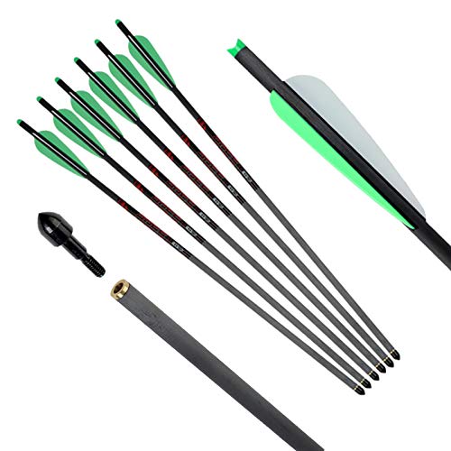 REEGOX 20” Carbon Crossbow Bolts-100% Carbon Crossbow Arrows with Field Point/Moon Nock-6 Pack