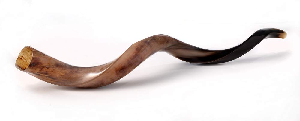 Yemenite Kudu Horn Shofar Shofars with Free Anti Odor Spray, guide Shofar from Israel (26"-28", Polish)