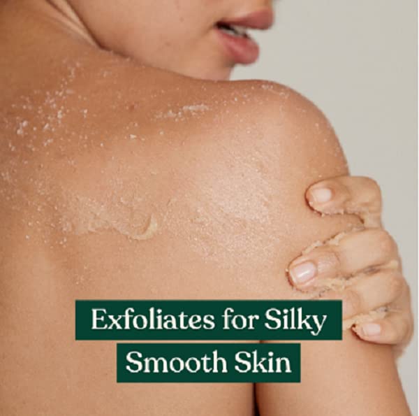 The Body Shop Shea Exfoliating Sugar Body Scrub β Refreshes and Cools with a Delicately Nutty Scent β Vegan β 1.7 oz