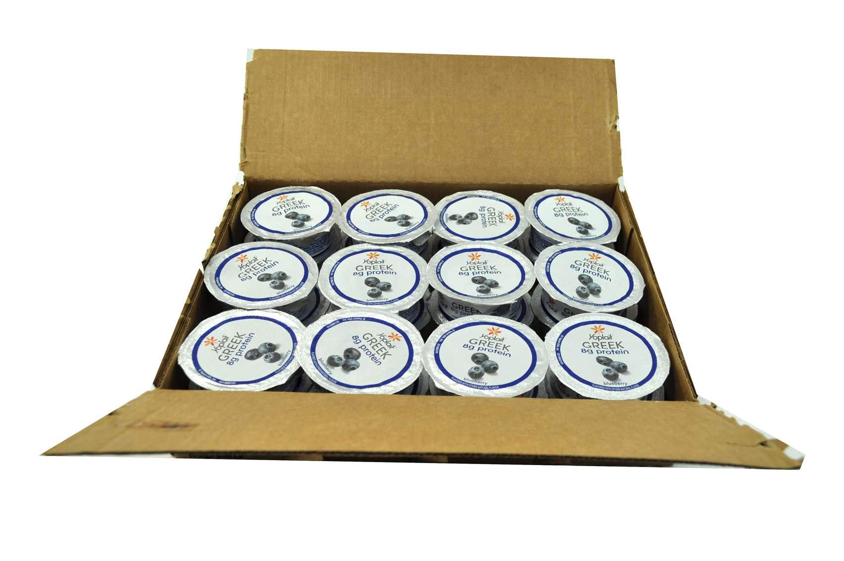 Yoplait Greek Protein Yogurt 3.5 ounces (Pack of 24) (Blueberry)