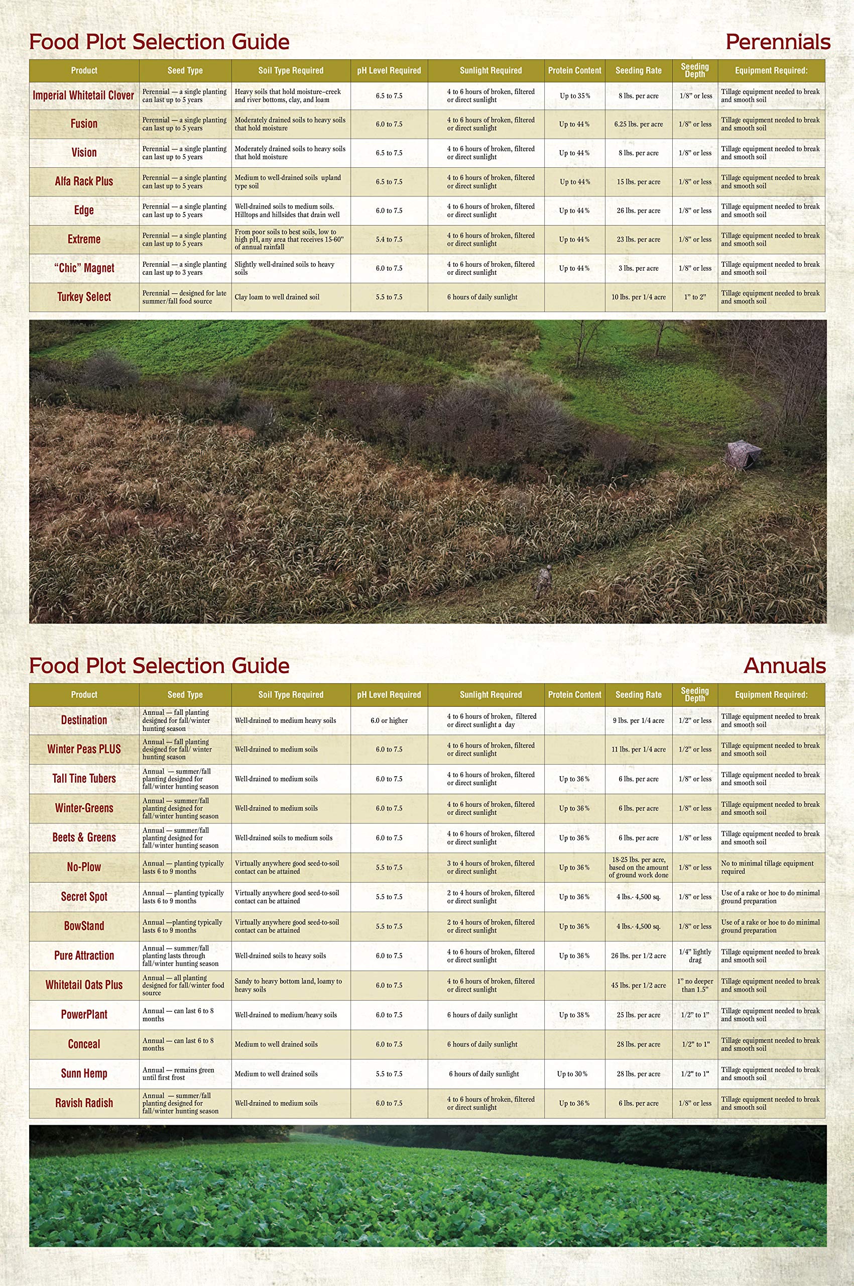 Whitetail Institute Alfa-Rack Plus Deer Food Plot Seed, Perennial Blend of Deep-Root Forages That Thrive on Hilltops and Hillsides, Highly Nutritious and Attractive to Deer, 16.5 lbs (1.25 acres)