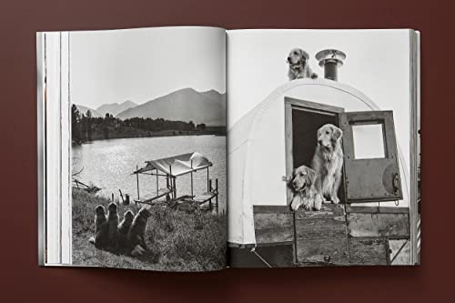 The Golden Retriever Photographic Society
