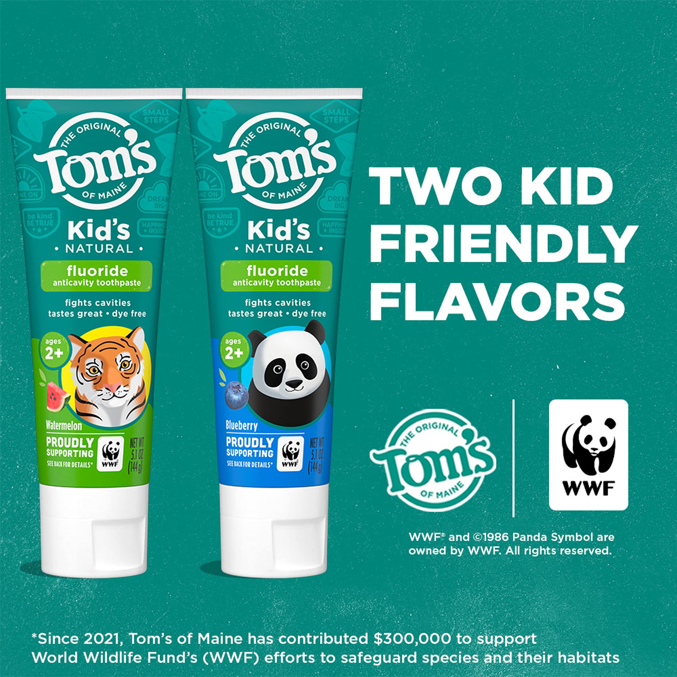 Tom's of Maine Kid's Natural Fluoride Toothpaste, Blueberry, 5.1 oz. 3-pack (Packaging May Vary)