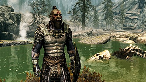The Elder Scrolls: Skyrim [Nintendo Switch]