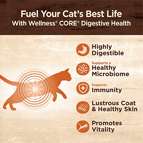 Wellness CORE Digestive Health Wholesome Grains Probiotic Coated High Protein Dry Cat Food, Chicken & Rice Dry Cat Food, 11 Pound Bag