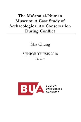 The Ma'arat al-Numan Museum: A Case Study of Archaeological Art Conservation Dur