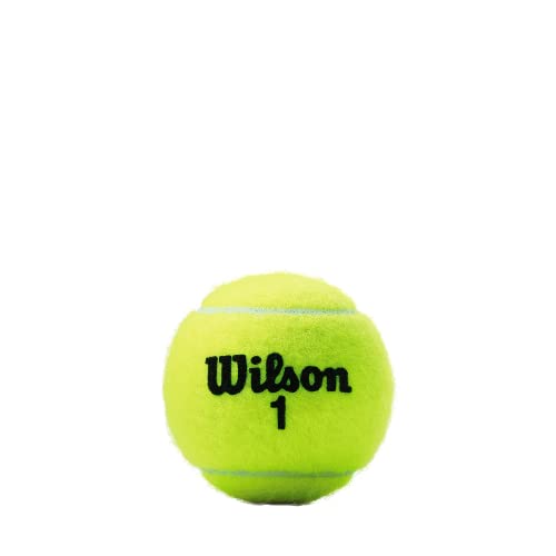 WILSON Championship Tennis Balls - Extra Duty, Single Can (3 Balls)
