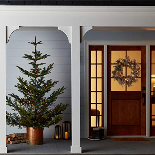 SYLVANIA LED Mini Christmas Lights, Multi