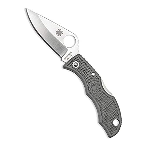 Spyderco Ladybug 3 Signature Knife with 1.9" VG-10 Steel Blade and Lightweight Foliage Green FRN Handle - PlainEdge - LFGP3