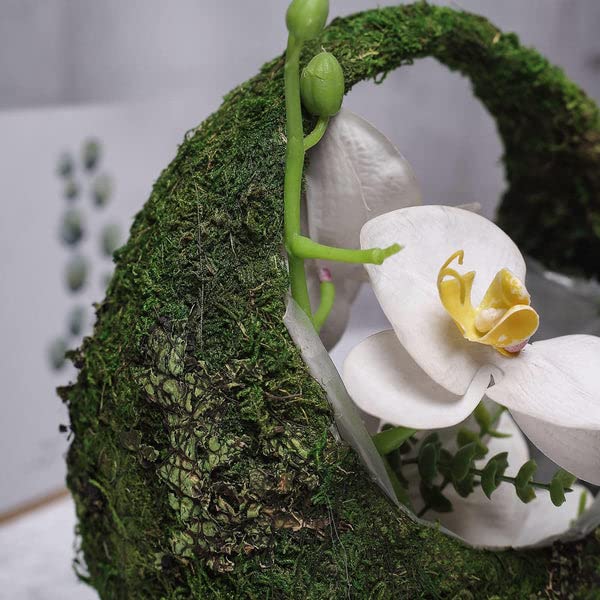 TABLECLOTHSFACTORY 9.5" Preserved Moss Planter Basket with Handle Moss Covered Planters with Inner Lining