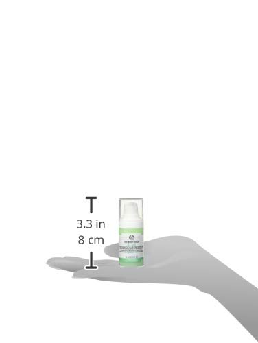 The Body Shop Aloe Soothing Eye & Lip Contour Care, 0.5 Fl Oz