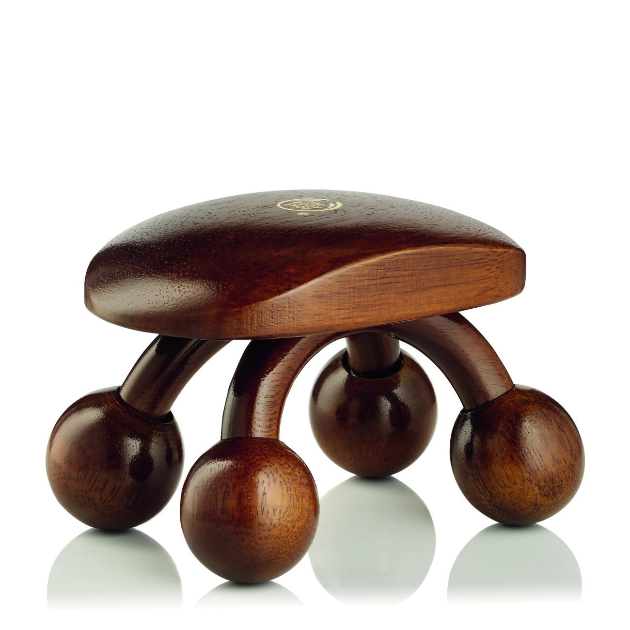 The Body Shop Spa of The World Indian Turtle Massager, 0.3 Pound