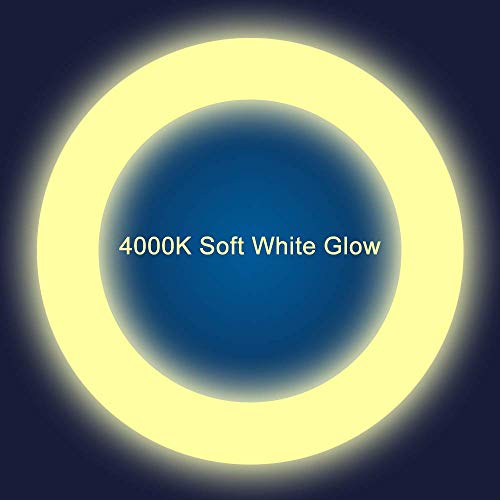 T9 LED Circline Light Bulb, 8 Inch 1600LM LED Circular Light, 13W Clear Cover 4000K Soft White Replacement for FC8T9 22-Watt Fluorescent Circular Bulb(FC8T9), Ballast Bypass Required