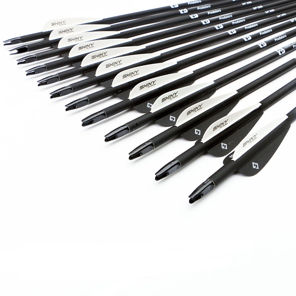 TIGER ARCHERY 30Inch Carbon Arrow Practice Hunting Arrows with Removable Tips for Compound & Recurve Bow(Pack of 12) (Black White)