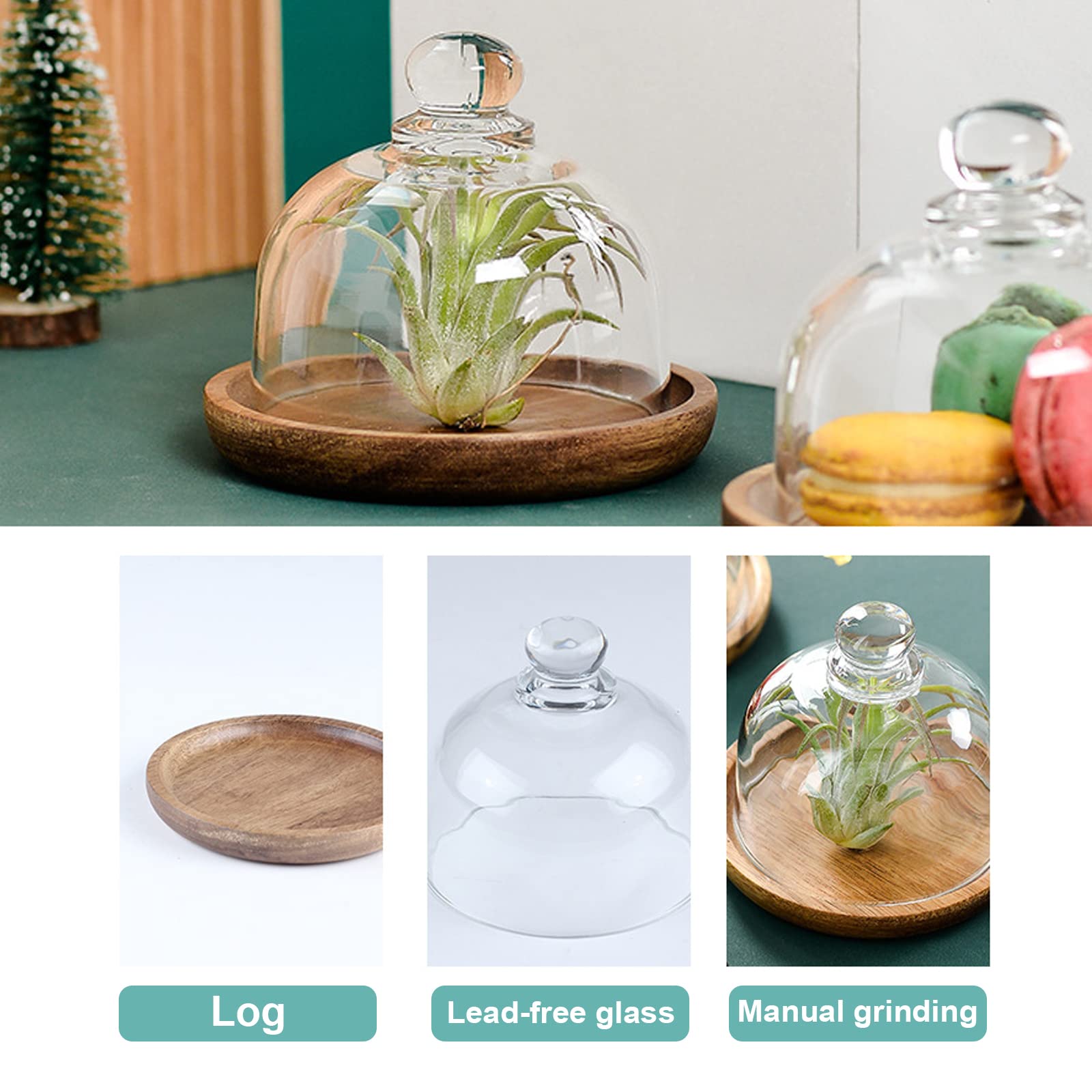 UOIENRT Dessert Cake Cover Display with Base, Acaciawood Flat Round Wooden Cake and Dessert Server, Cake Stand with Glass Bell Dome