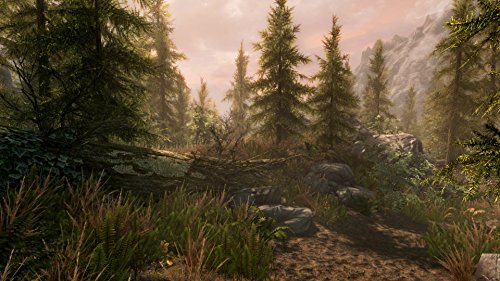 The Elder Scrolls V: Skyrim Special Edition - Xbox One (Imported Version)