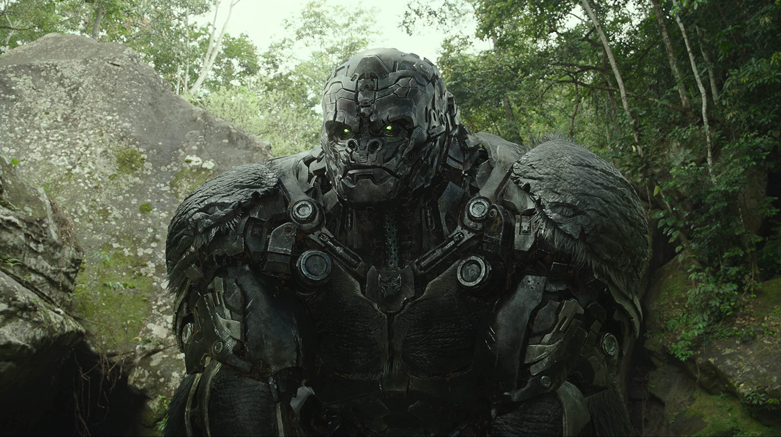 Transformers: Rise of the Beasts [Blu-ray]