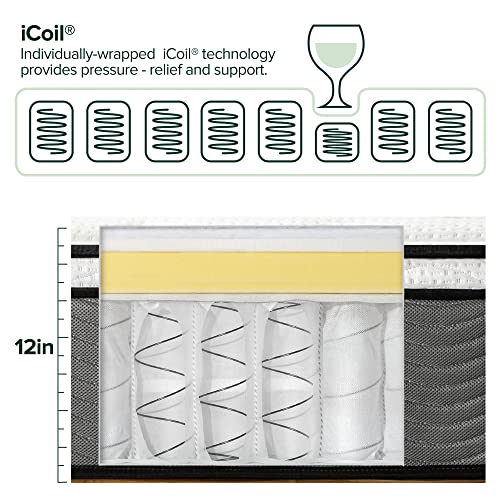 ZINUS 12 Inch Support Plus Pocket Spring Hybrid Mattress, King, Strong Coils for Durable Support, Pocket Innersprings for Motion Isolation, Mattress in A Box