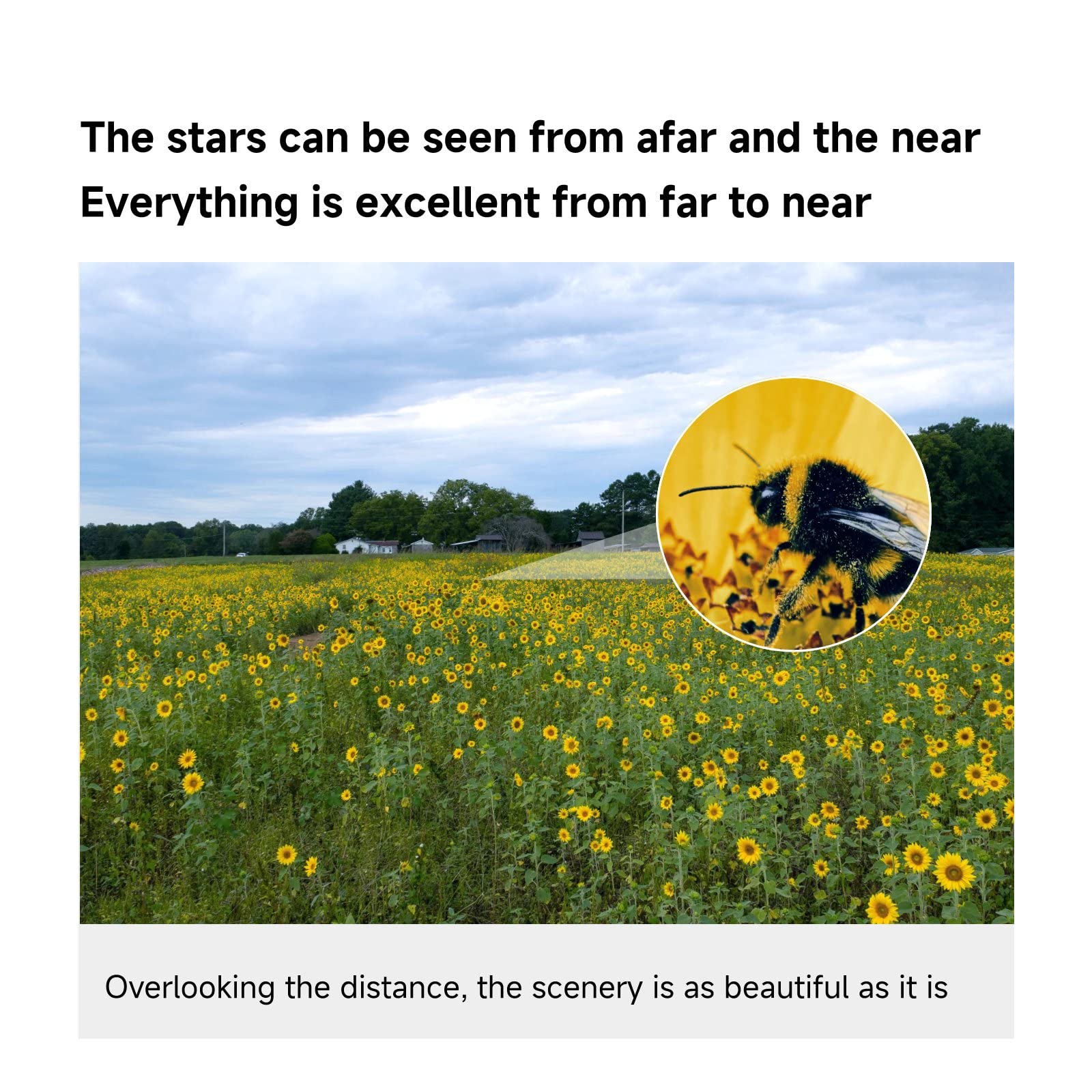 Smart Telescope BeaverLAB TW1,Refractor Professional Telescope -500mm (f/6.1) Focal Length.HD Video, WiFi Connection, Telescope Backpack,with Phone Adapter & Moon Filter, App iPhone/Android Compatible