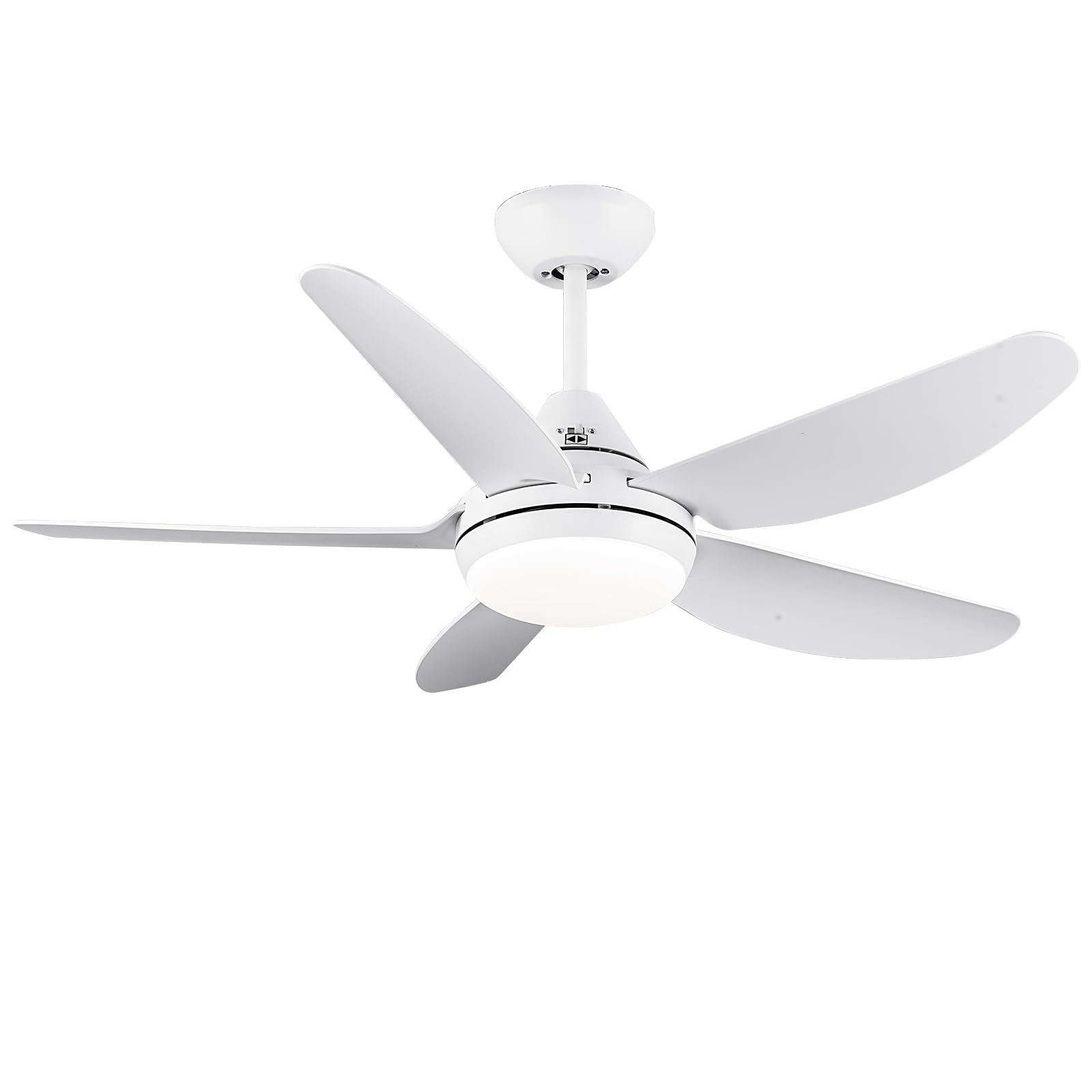 wurzee Ceiling Fan with Lights Remote Control, 40 Inch, Ceiling Fans 24W LED, Reversible Motor, 3-Speed, Dimmable Light, 5 Blades, White Outdoor Ceiling Fan for Farmhouse, Kitchen, Hallway, Foyer