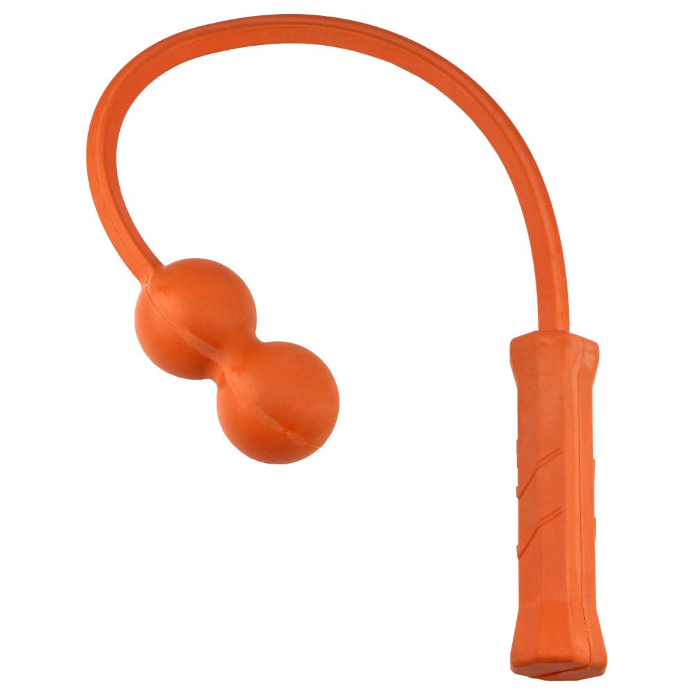 The Total Serve ServeMaster Academy Pack: Serve Tool and Swing Trainer for Tennis Training