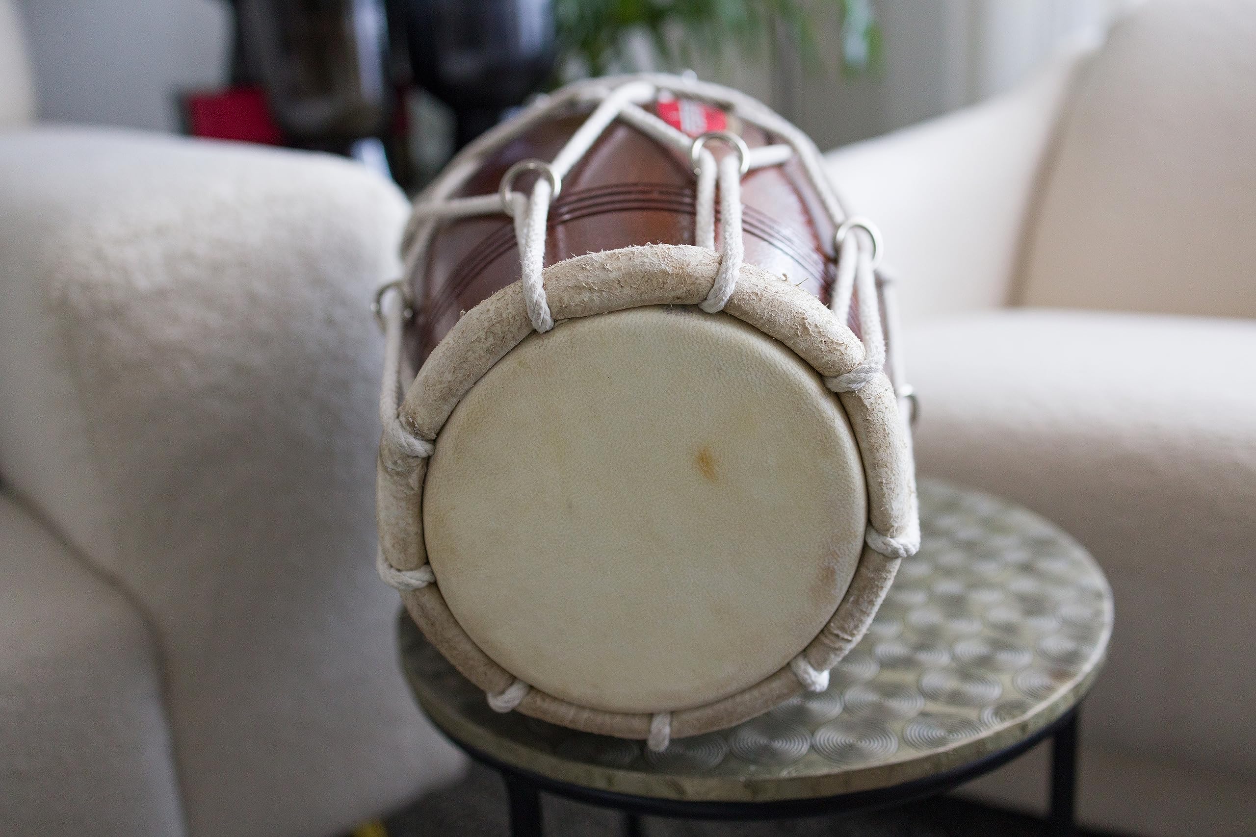 Special Dholak Drum by Maharaja Musicals, Professional Quality, Sheesham Wood, Padded Bag, Spanner, Dholki Musicals Instrument (PDI-BBC)