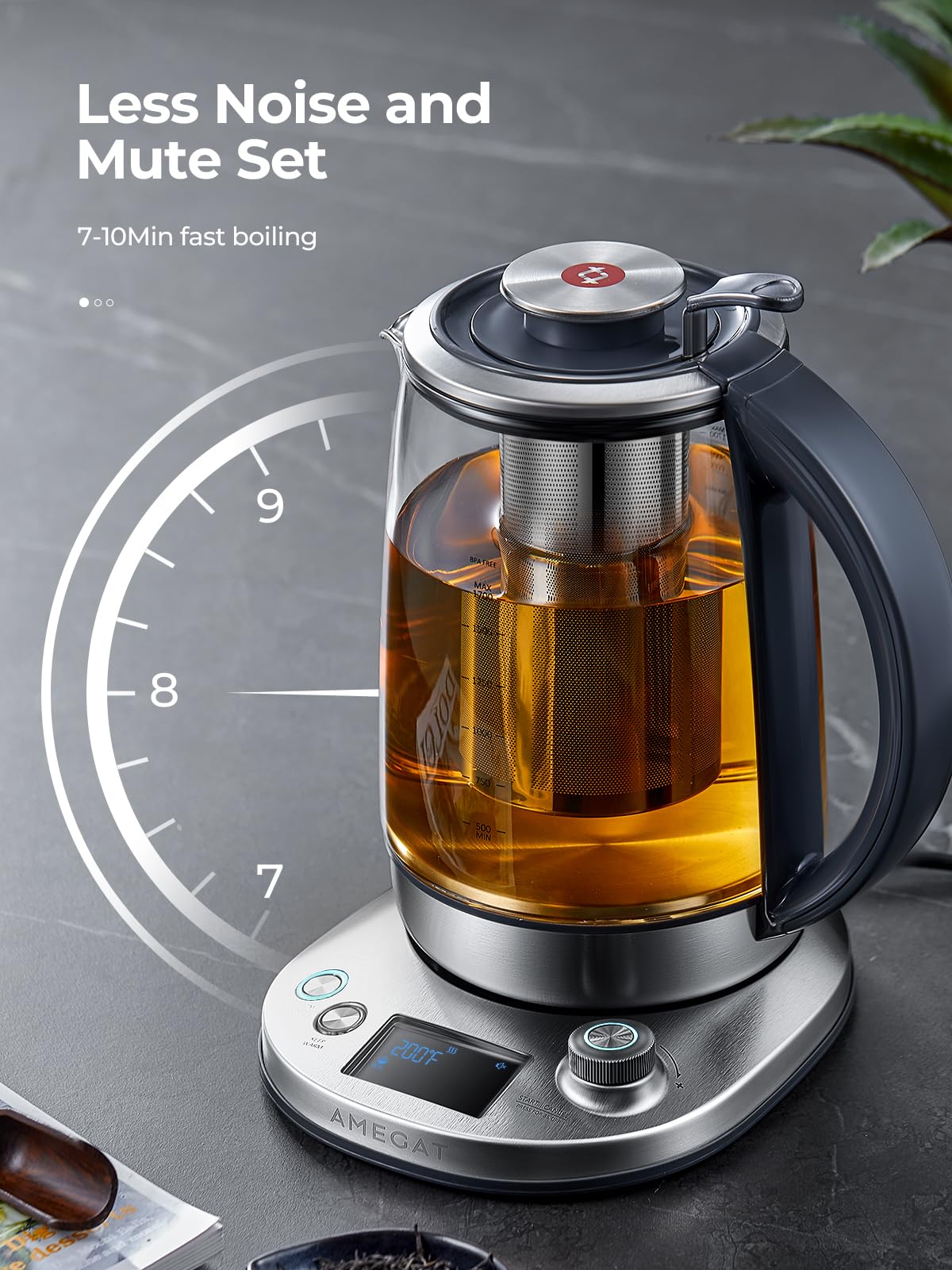 Tea Kettle Electric, AMEGAT Tea Pot with Removable Infuser, 9 Preset Brewing Programs Tea Maker with Temperature Control, 2 Hours Keep Warm, 1.7L Electric Kettles, 1200W, Glass and Stainless Steel