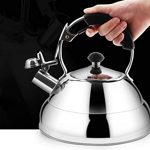 ZNZN Stove Kettle Large Capacity Kettle-Creative Silver Food Grade Stainless Steel Teapot with Ergonomic Handle (2.6L,87.9OZ) Multifunctional Water Kettle