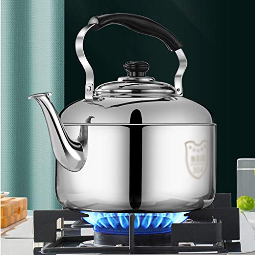 ZNZN Stainless Steel Kettle Stove Top Whistling Teapot Silver Classic Teapot Appearance Cooking Grade Ring Shaped Kettle Bottom Multifunctional Water Kettle (Color : 8L)
