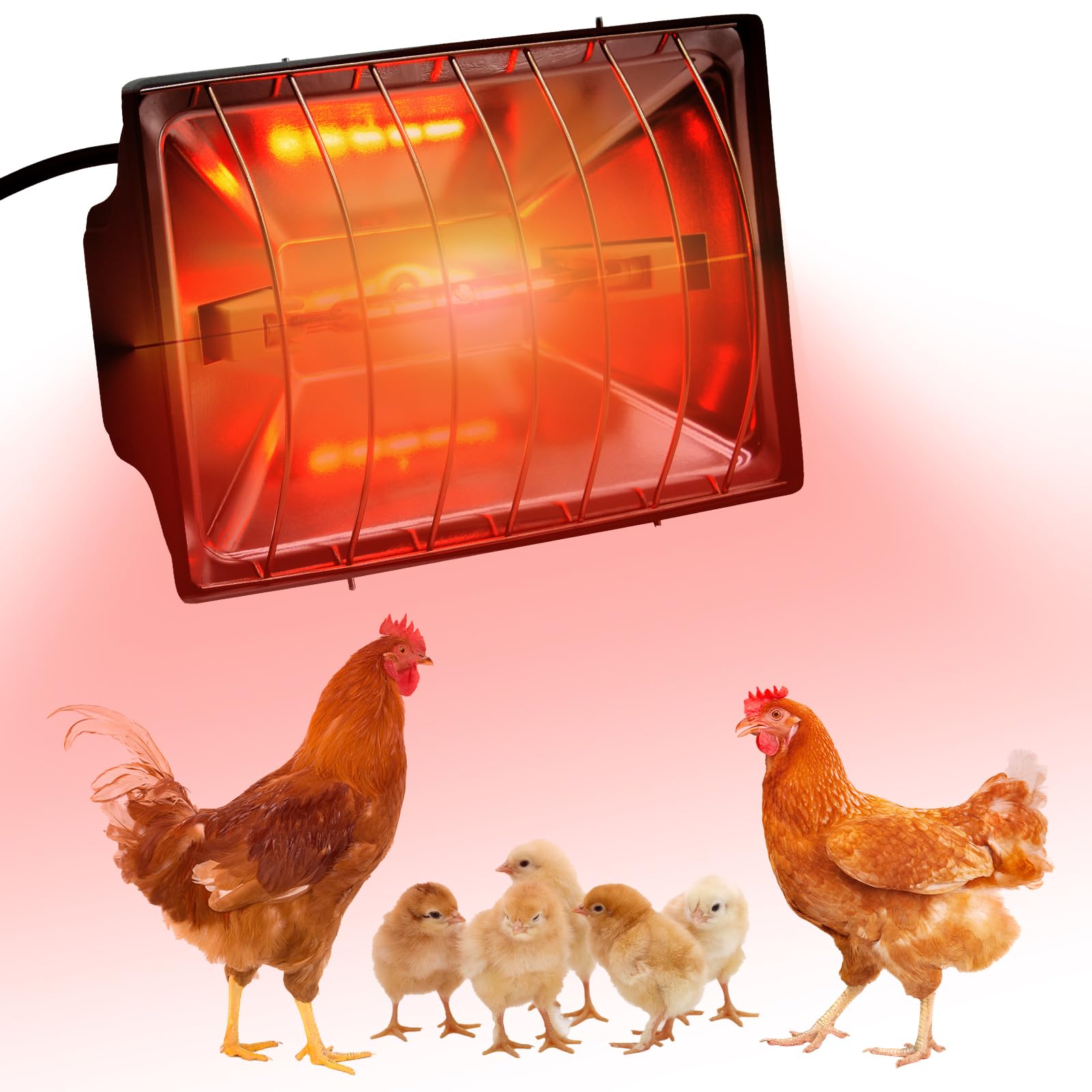 WISMOIER Infrared Heat Lamp for Chickens Coop Chicks Puppies Reptiles Livestock Poultry Bathroom 250 Watt 120V, Sauna Red Light Therapy Bulb