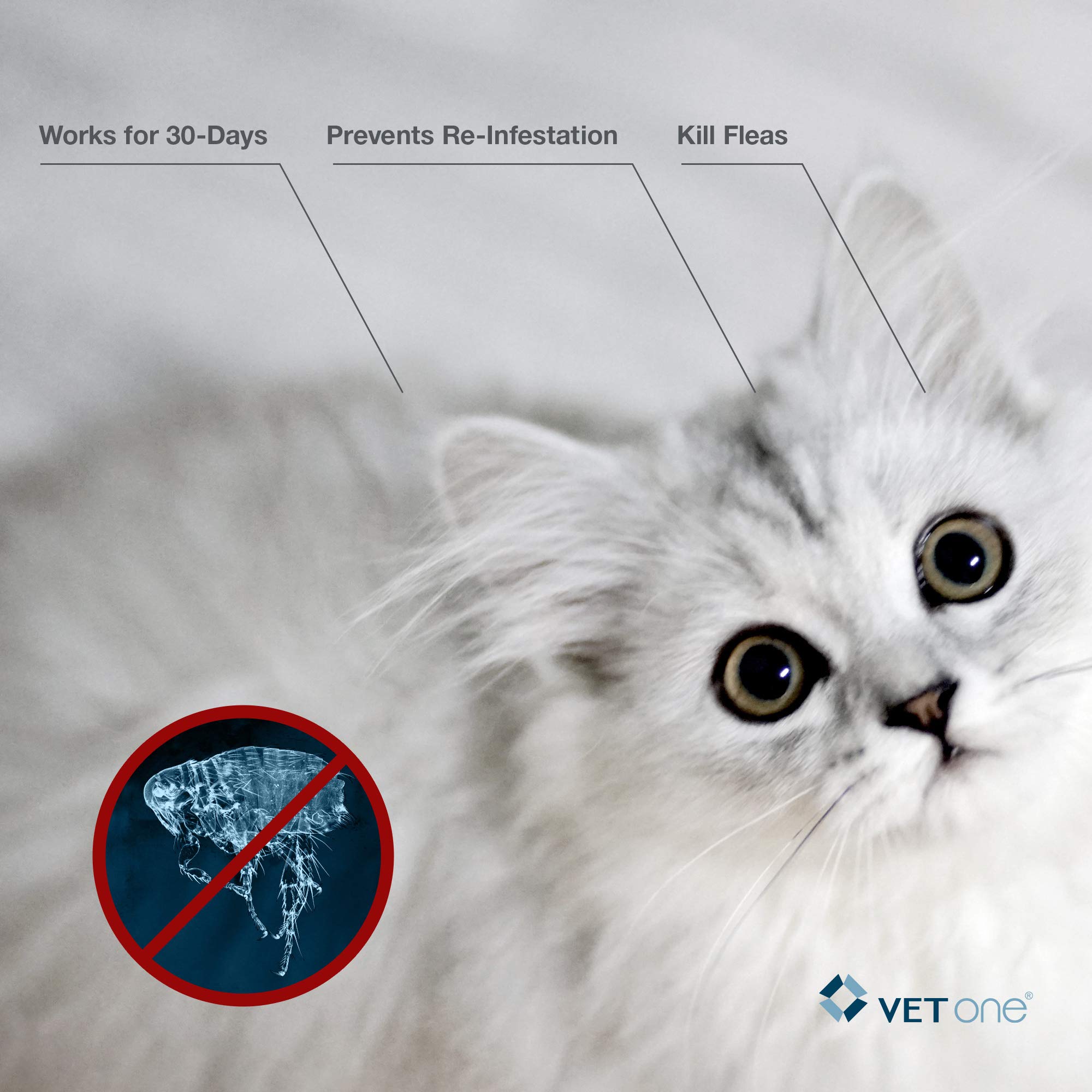 VetOne - CrossBlock II™ Kills & Prevents Fleas on Cats (Over 8 Weeks Old) | Waterproof to Last Long | Ensures 3 Months of Protection (9lbs+)