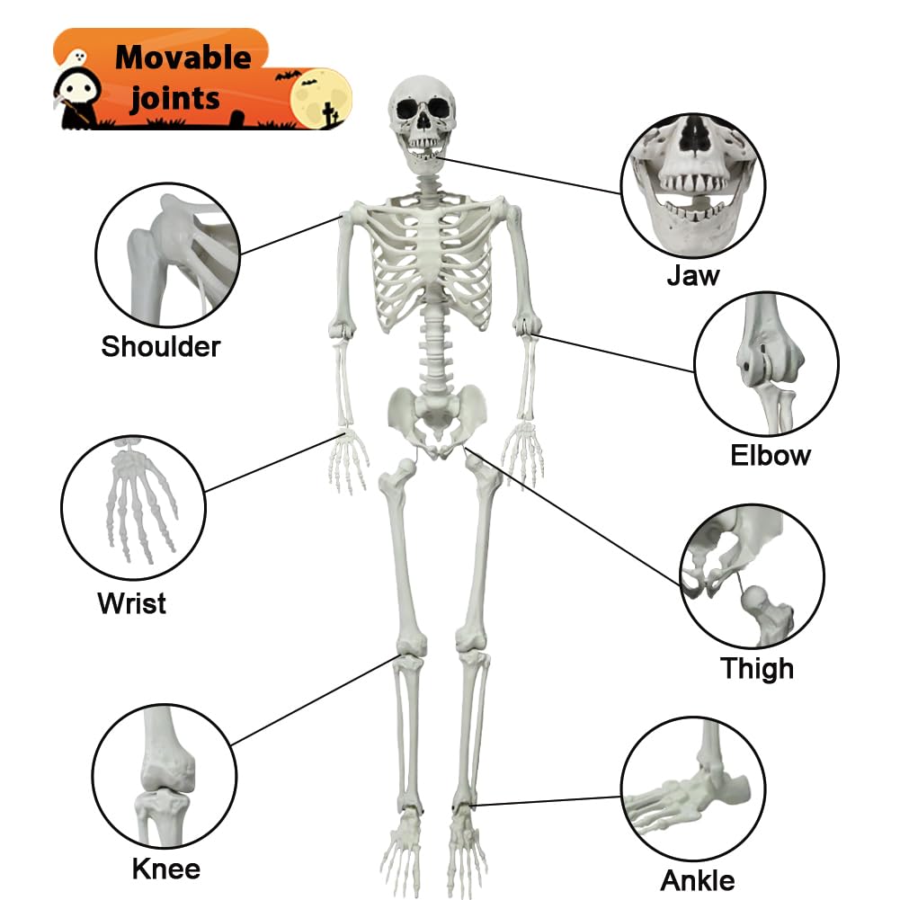UMEELR 5.4ft/165cm Halloween Skeleton, Poseable Full Size Skeleton with Black Cloak, Life Size Human Bones for Halloween Front Yard Patio Lawn Garden