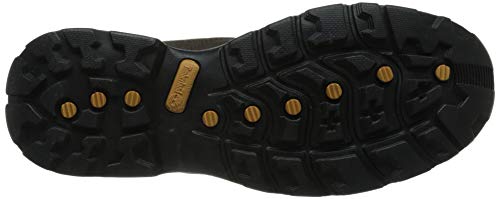 Timberland Men's Chocorua Trail Mid Waterproof, Brown/Green, 13 D - Medium
