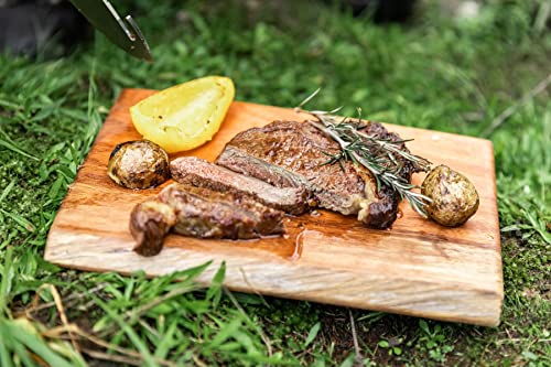 Zalderan Campfire Grill Grate. Small Lightweight, Stainless Steel, Portable, Backpack Hiking Grill.