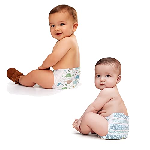The Honest Company Clean Conscious Diapers | Plant-Based, Sustainable | Turtle Time + Dots & Dashes | Club Box, Size 2 (12-18 lbs), 76 Count