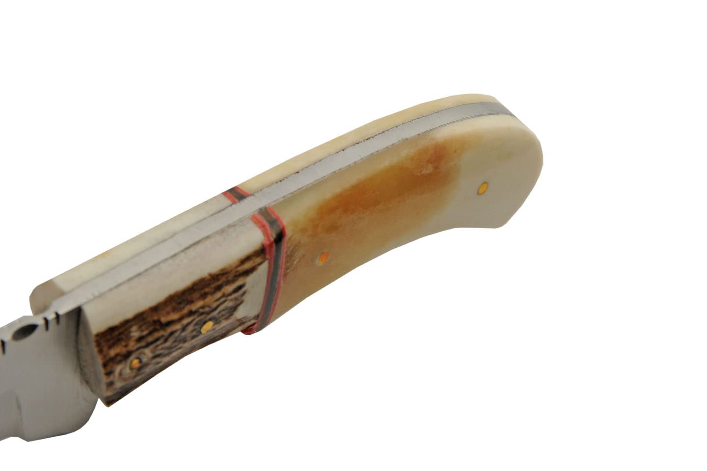 Venison Stainless Steel Blade Bone/Stag Handle 8.75 inch Hunting Knife