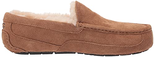 UGG Men's Ascot Slipper, Chestnut, 11