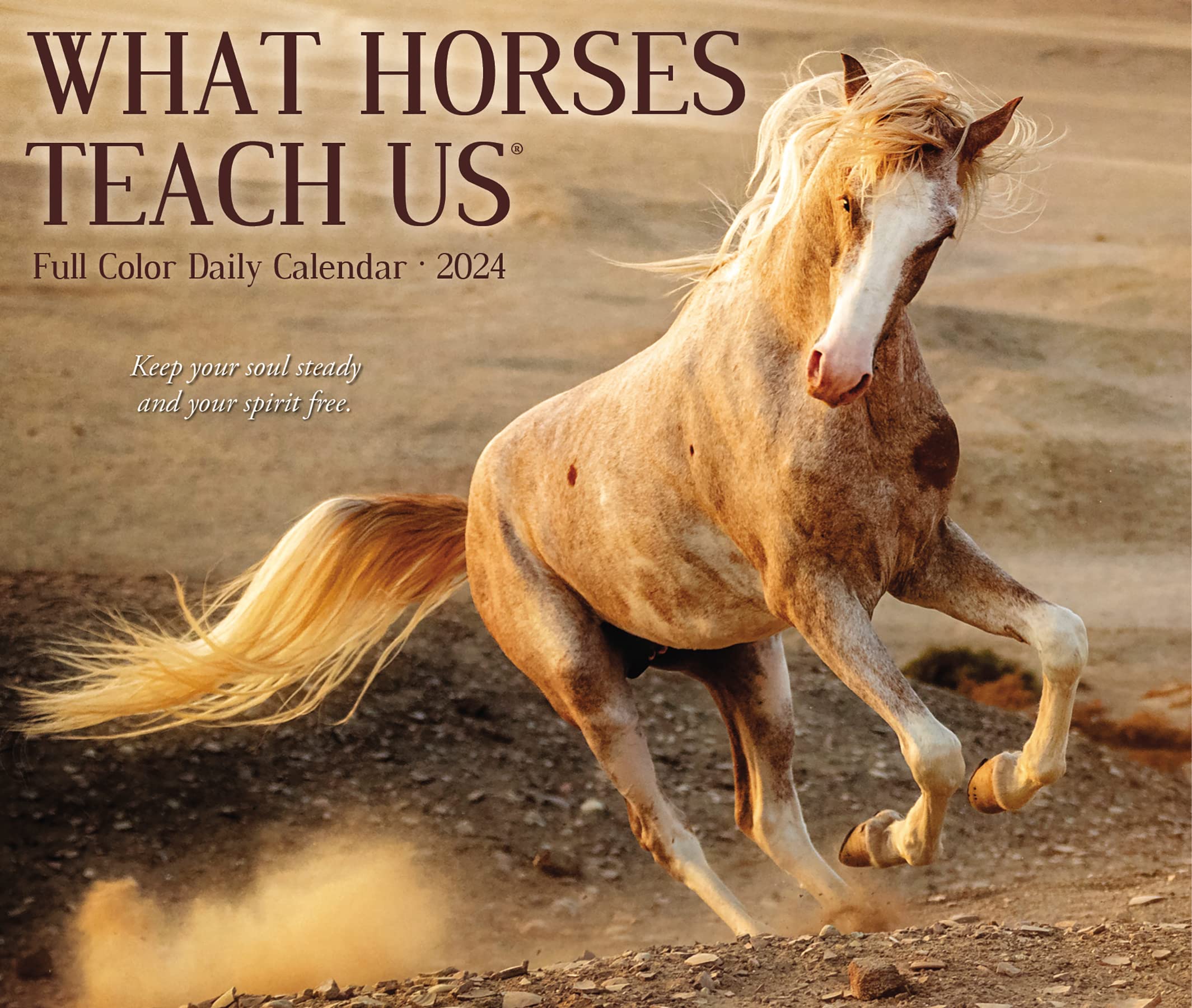 Willow Creek Press What Horses Teach Us Daily 2024 Box/Desk Calendar (5.86" x 4.72")