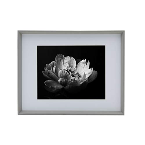 Studio Nova Picture Frame Displays 8 x 10 Photos 11 x 14 Without Mat, 11x14-Matted 8x10, Gray